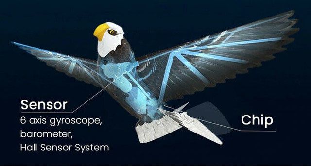 HOW RC BIRDS WORK